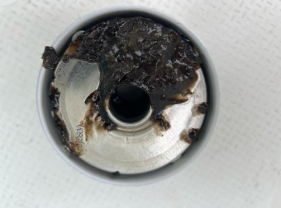 Diesel Bug - What It Is and How to Fix | Blau Circle